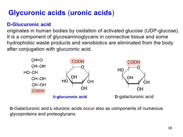 09 monosaccharides and_oligosaccharides