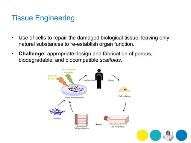 Biodegradable polymer Matrix Nanocomposites for Tissue Engineering | PPT