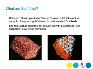 Biodegradable polymer Matrix Nanocomposites for Tissue Engineering | PPT
