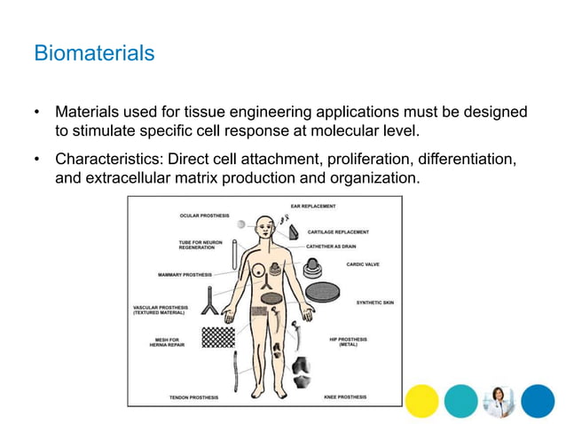Biodegradable polymer Matrix Nanocomposites for Tissue Engineering | PPT