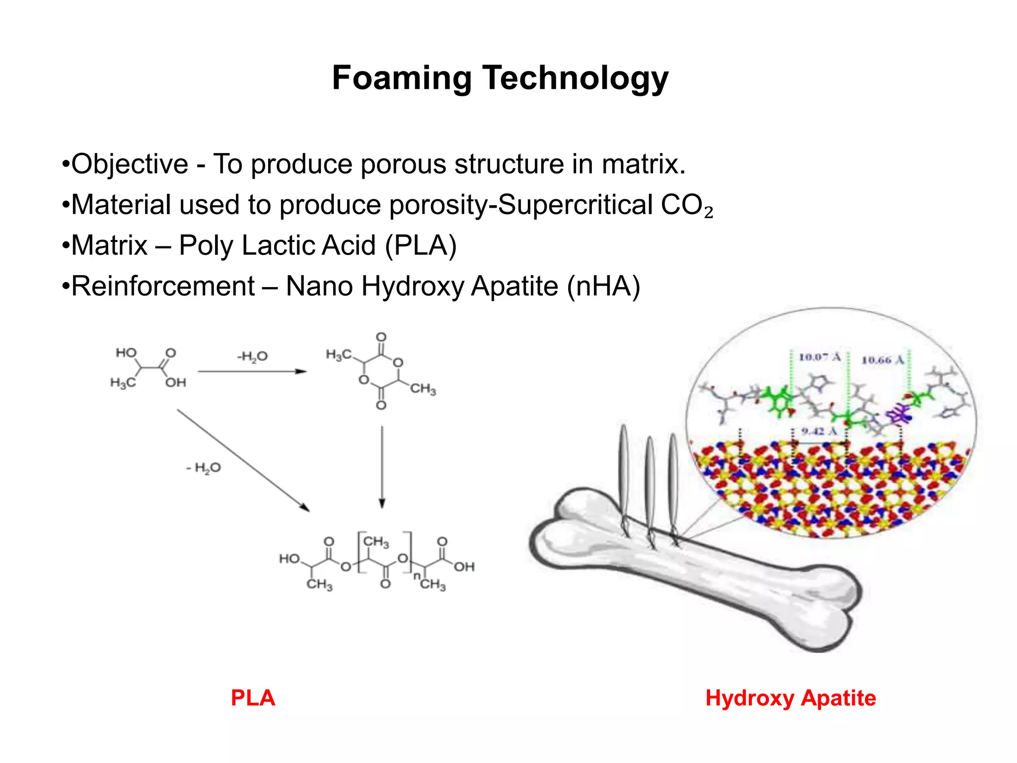 Foaming Technology | PDF