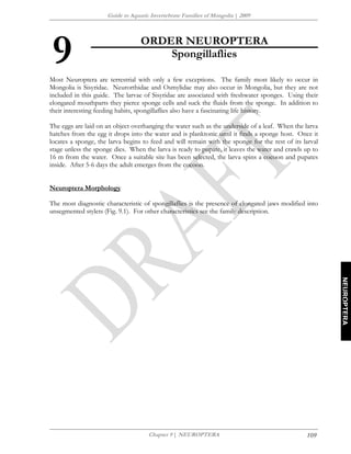 09Neuroptera order neuroptera Family description | PDF