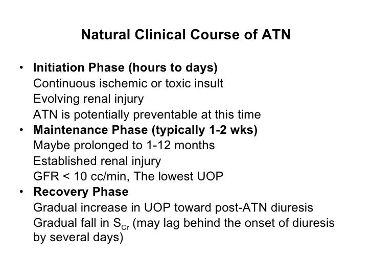 09 Nouri Acute Renal Failure