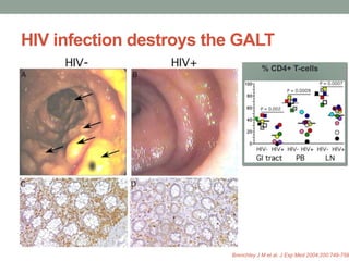 BRN Symposium 03/06/16 The gut microbiome in HIV infection | PPTX