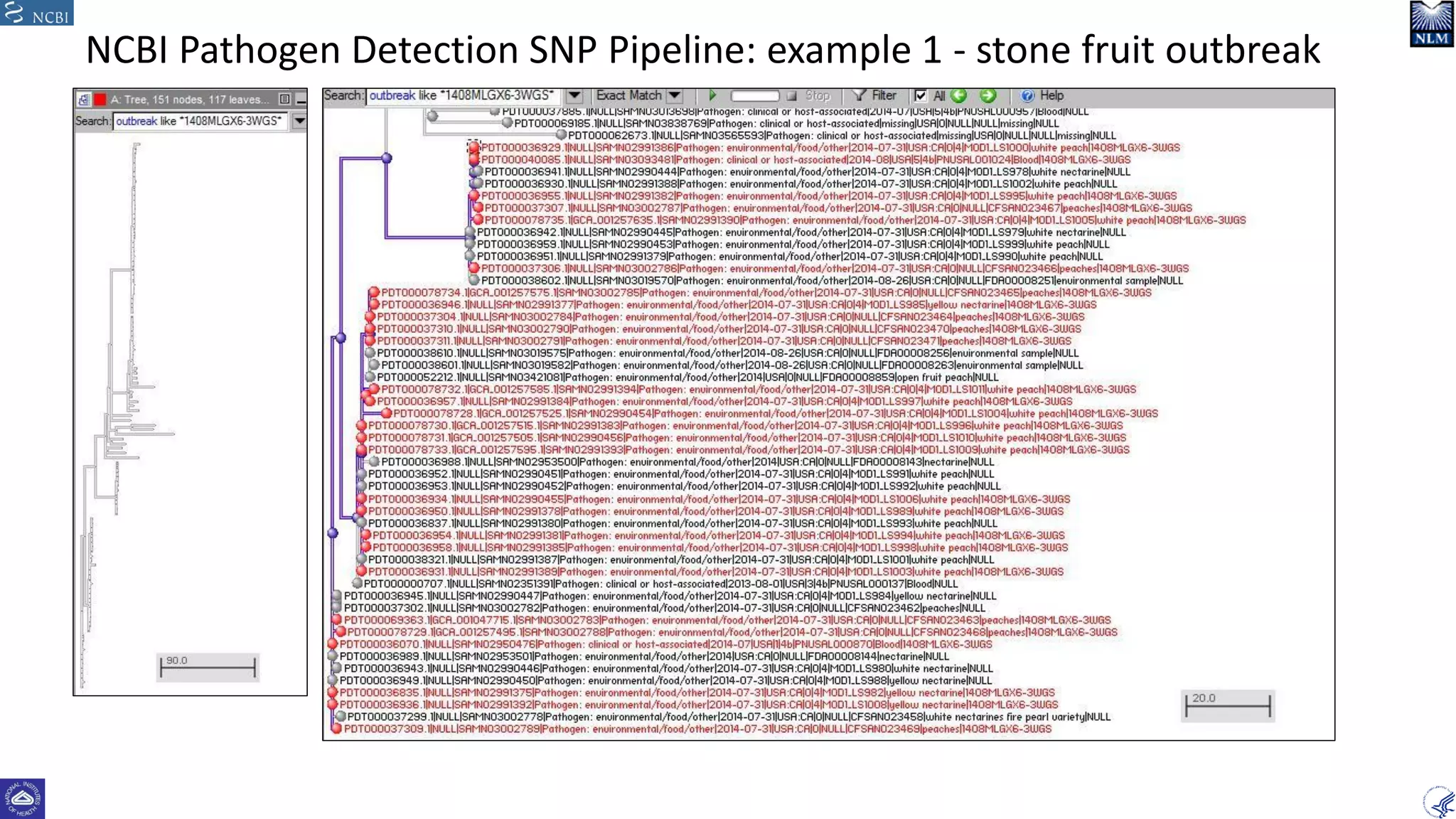 The National Center for Biotechnology Information (NCBI) Pathogen ...