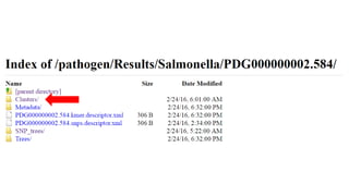 The National Center for Biotechnology Information (NCBI) Pathogen ...