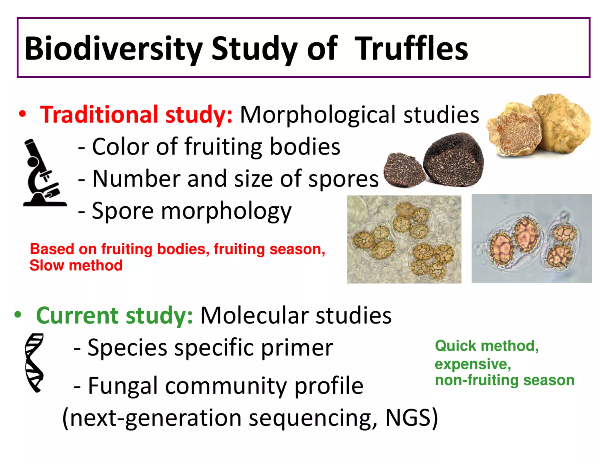 Mycobiome and the Thai truffles | PPT