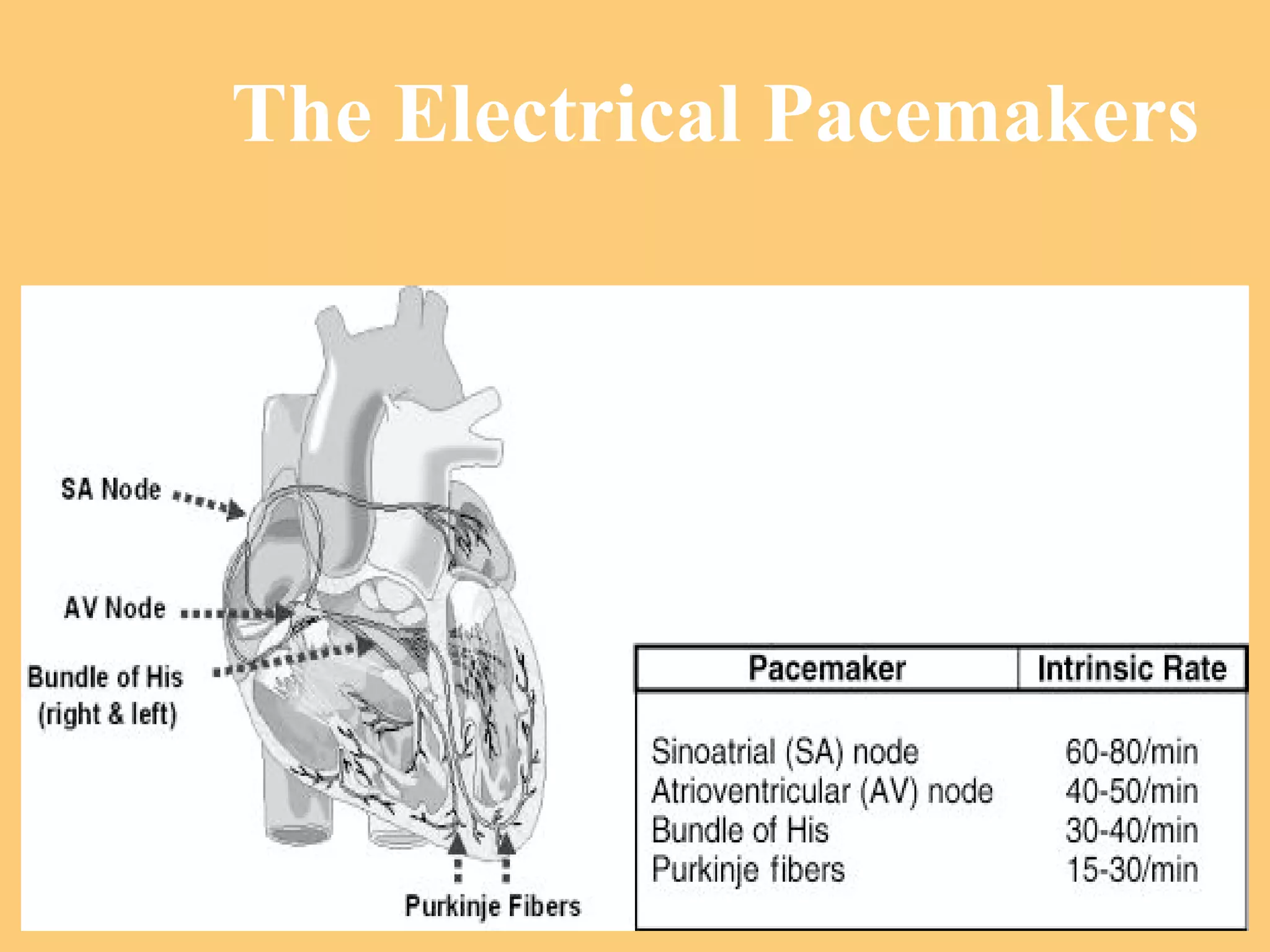 Acute CHF & Aortic Disasters | KEY