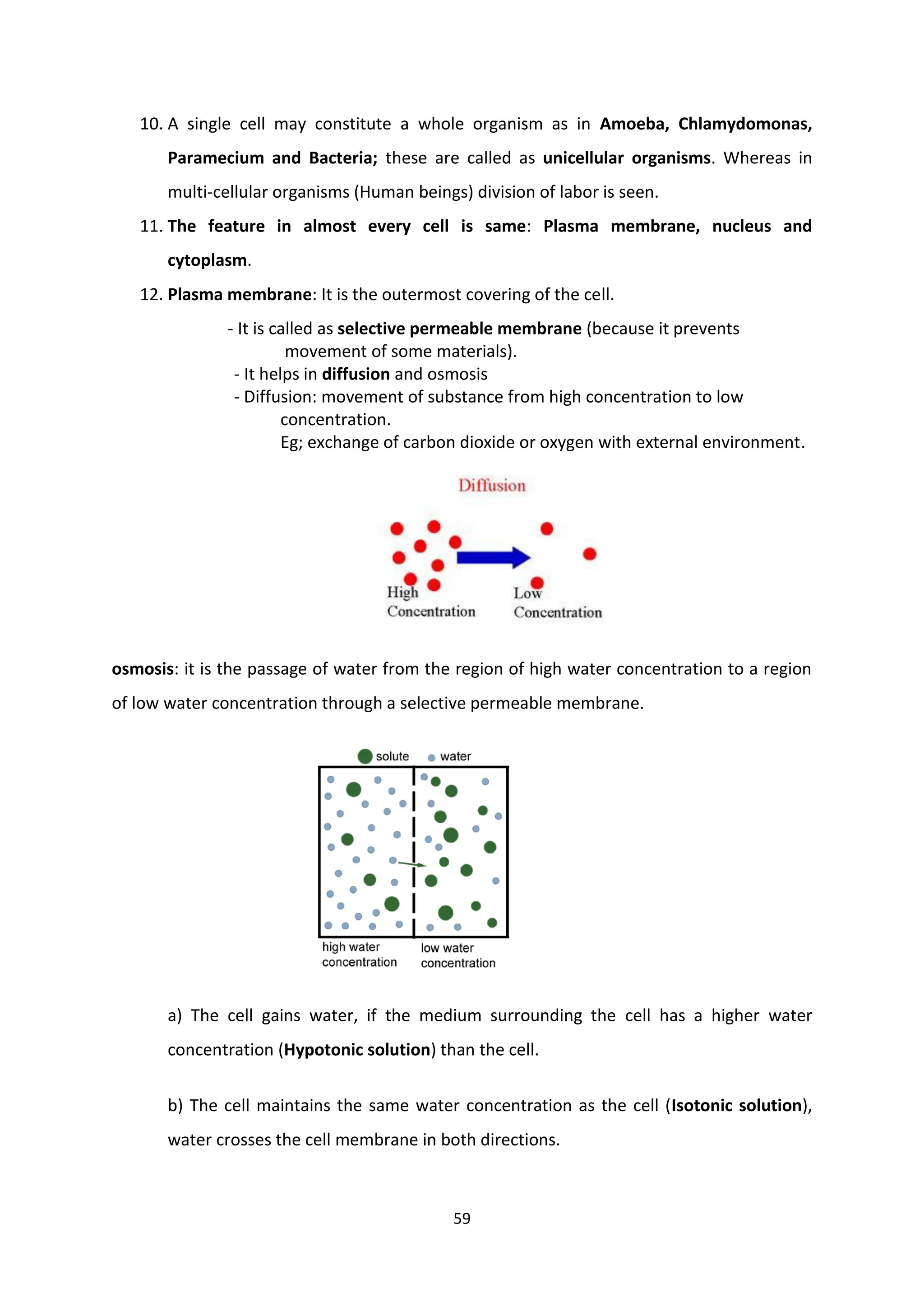 Class 9 Science Biology chapter 1 The fundamental Unit of Life ppt and ...