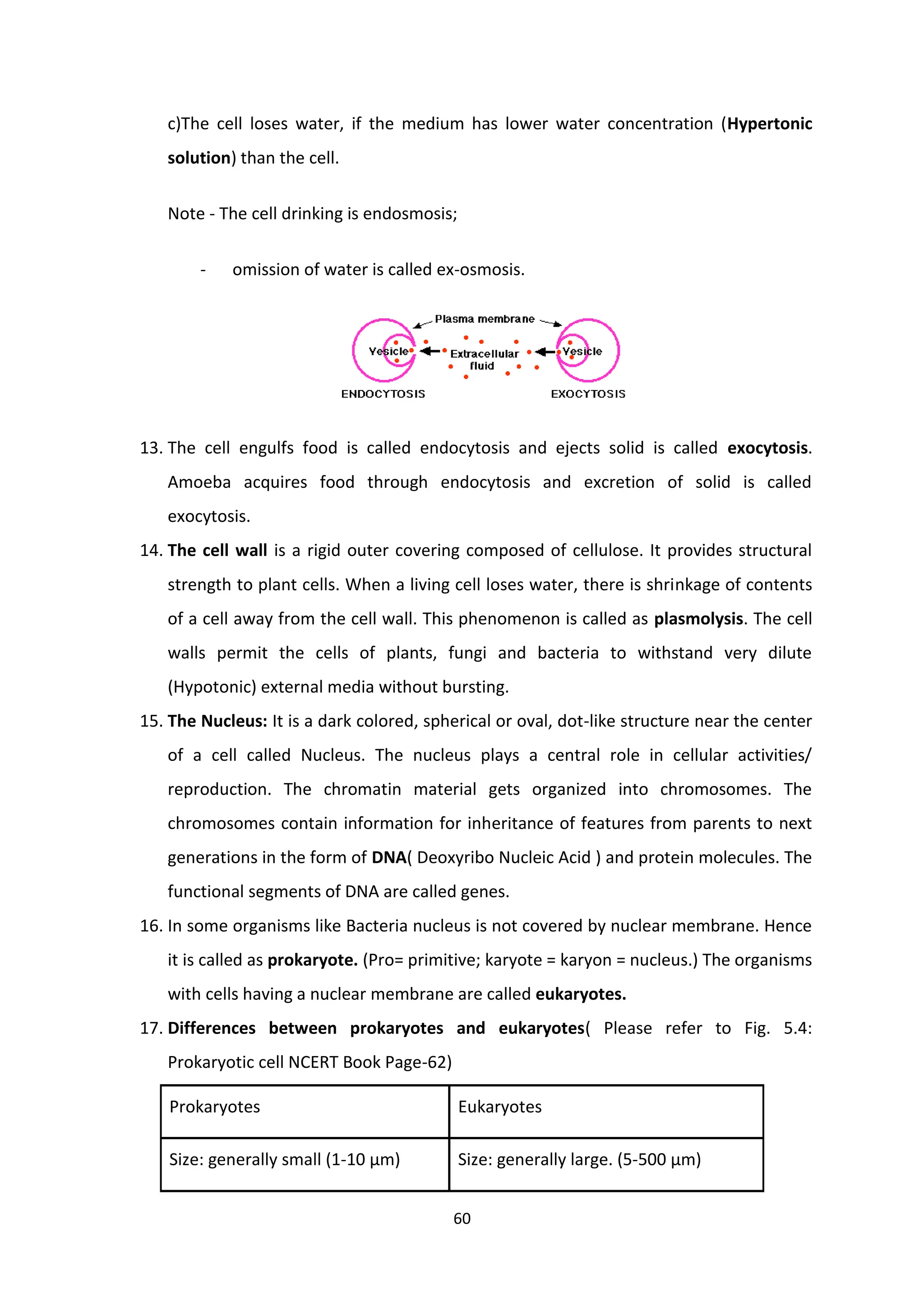 Class 9 Science Biology chapter 1 The fundamental Unit of Life ppt and ...