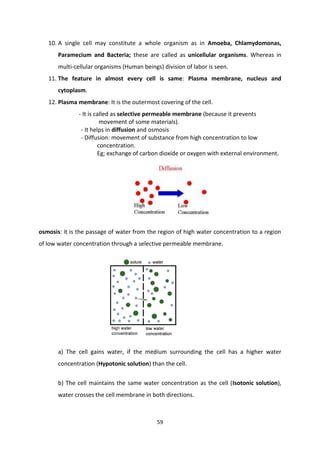 Class 9 Science Biology chapter 1 The fundamental Unit of Life ppt and ...