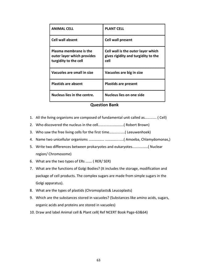 Class 9 Science Biology chapter 1 The fundamental Unit of Life ppt and ...