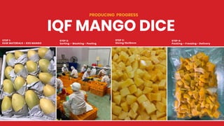 IQF FRUIT - TD FOOD ASIA Co., LTD | PDF
