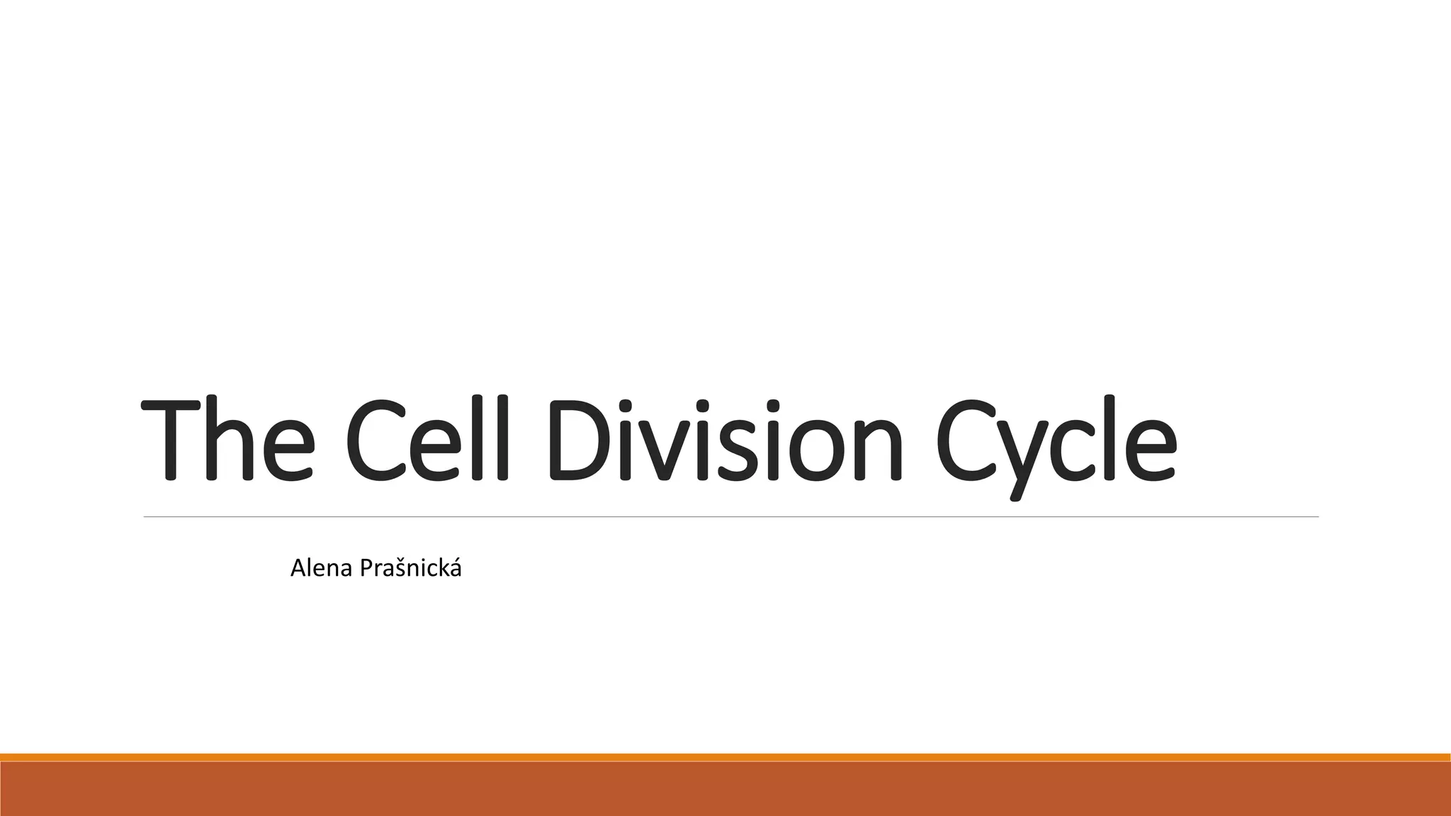12 - The Cell Division Cycle | PPT