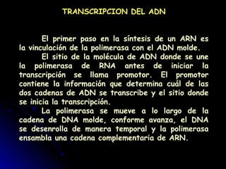 TRANSCRIPCIÓN DEL ADN | PPT