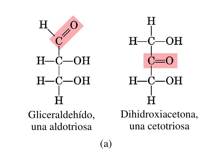 09 Glúcidos y glicobiología