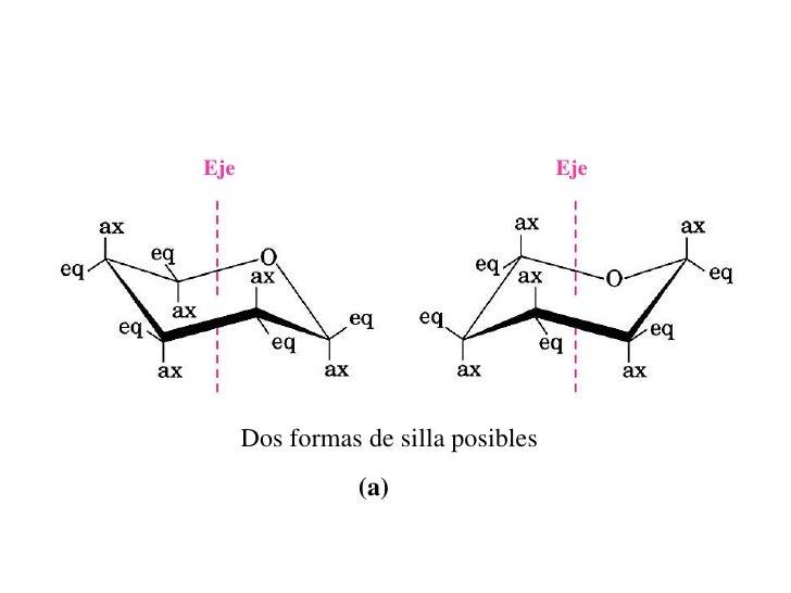 09 Glúcidos y glicobiología