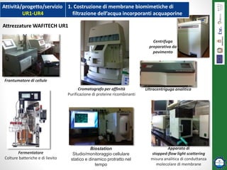 RETI di LABORATORI - [Nuovi Materiali] WAFITECH | PPT | Free Download