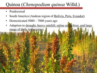AACC Quinoa presentation - Geyang Wu | PDF