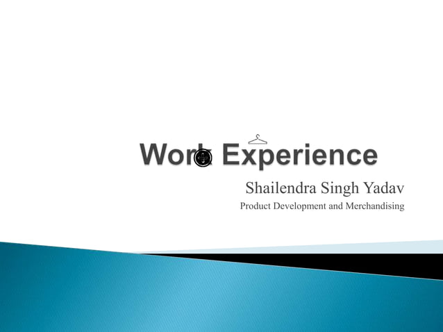 Work Experience Presentation | PPT