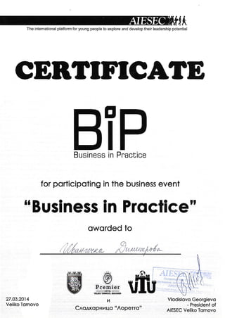 BiP - diplom | PDF