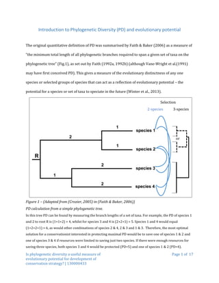 Is phylogenetic diversity a useful measure of evolutionary potential ...