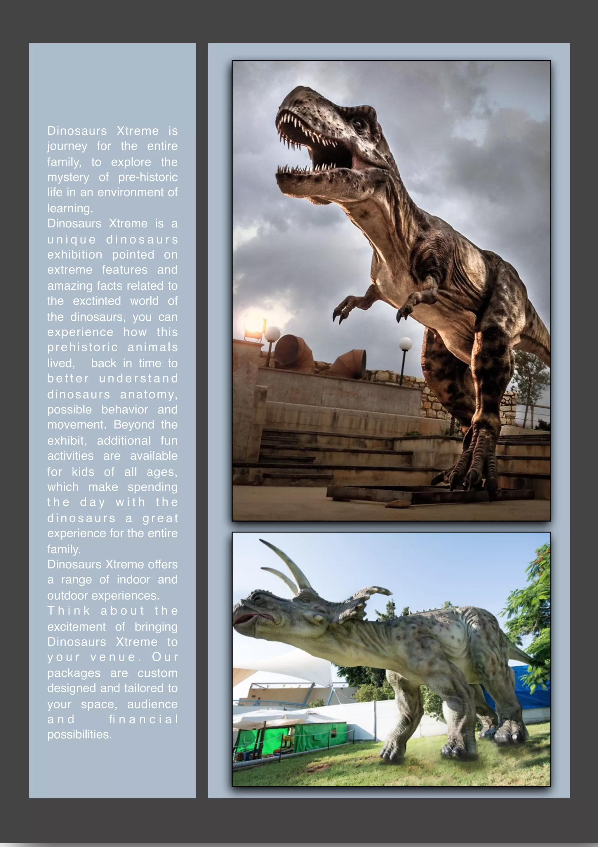 DINOSAURS EXTREME ETHIOPIA | PDF