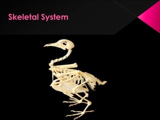 Flight Patterns | PPT