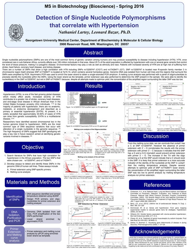 Nathaniel Internship Poster | PDF