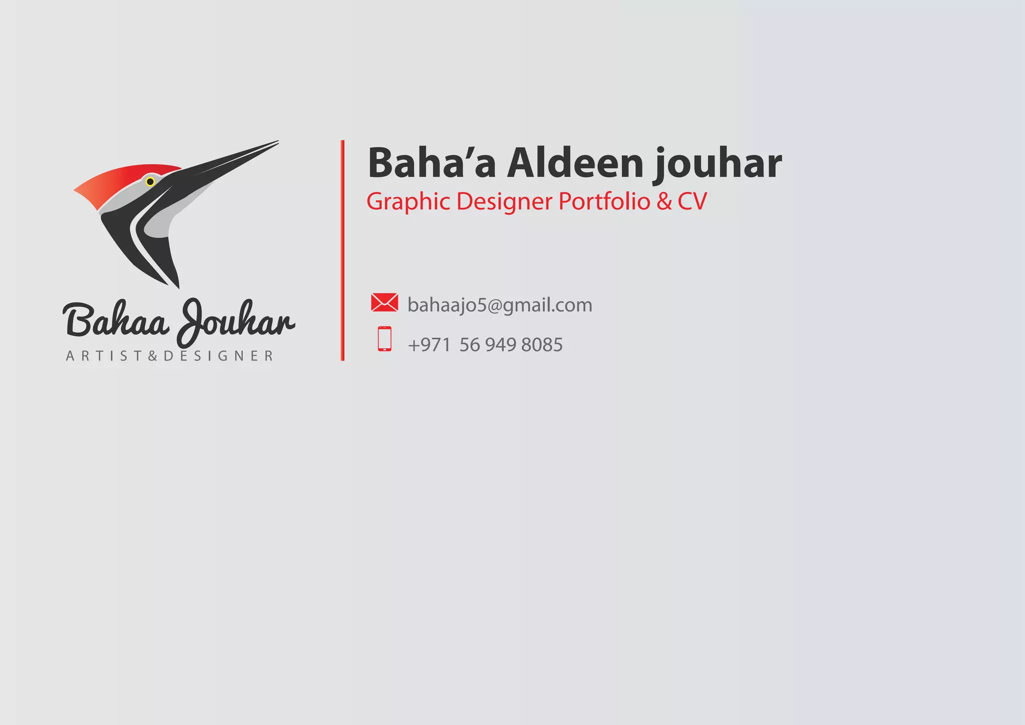 portfolio and cv bahaa 2016 | PDF | Business and Finance