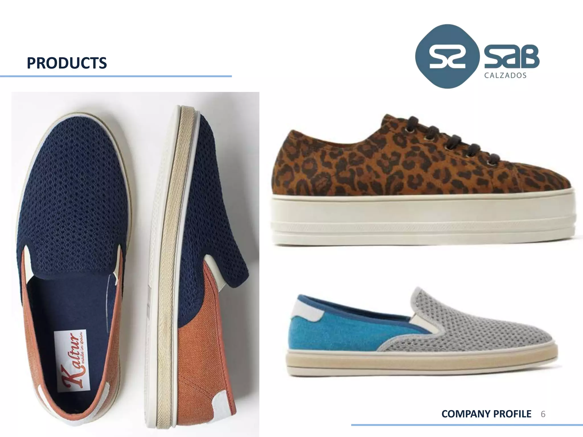 SAB COMPANY PROFILE | PPSX