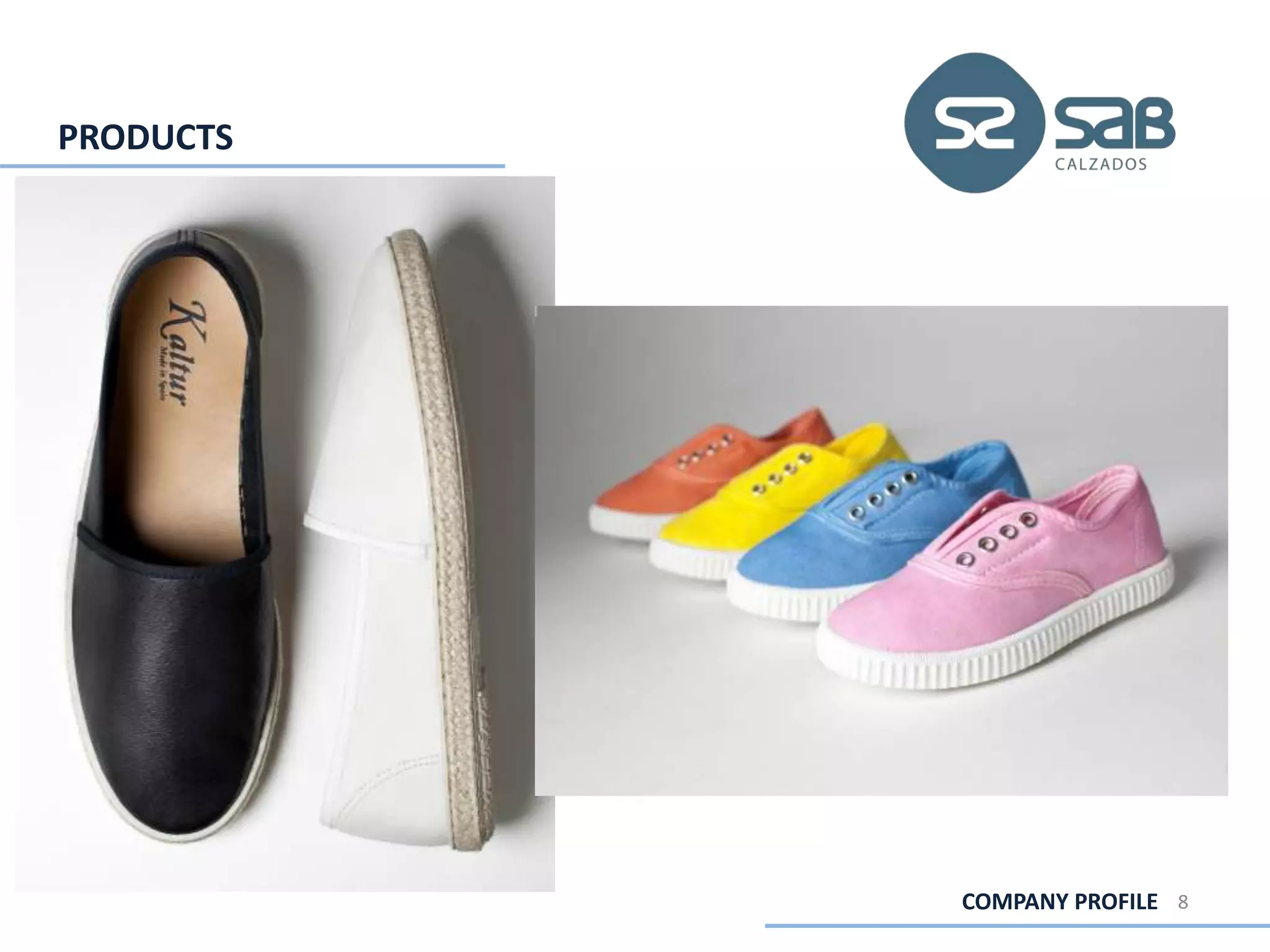 SAB COMPANY PROFILE | PPSX