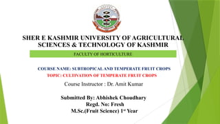 Cultivation of temperate fruit crops.pptx