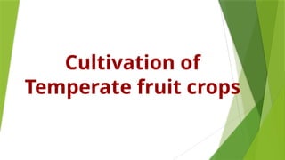 Cultivation of temperate fruit crops.pptx