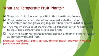 Cultivation of temperate fruit crops.pptx
