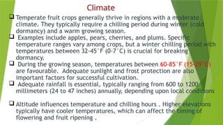 Cultivation of temperate fruit crops.pptx