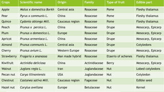 Cultivation of temperate fruit crops.pptx