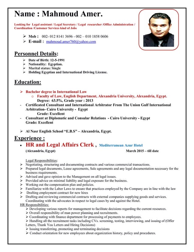 Curriculum Vitae -Mahmoud Amer | PDF
