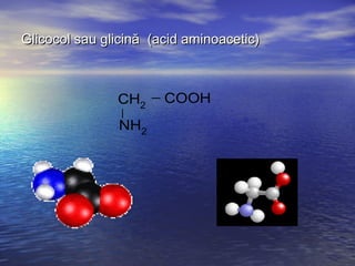 Aminoacizii | PPT