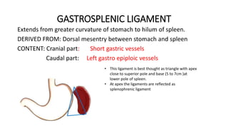 Applied Anatomy and Physiology of spleen | PPTX