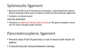 Applied Anatomy and Physiology of spleen | PPTX