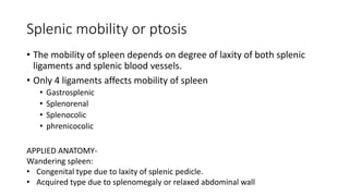 Applied Anatomy and Physiology of spleen | PPTX