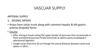 Applied Anatomy and Physiology of spleen | PPTX