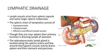 Applied Anatomy and Physiology of spleen | PPTX