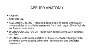 Applied Anatomy and Physiology of spleen | PPTX