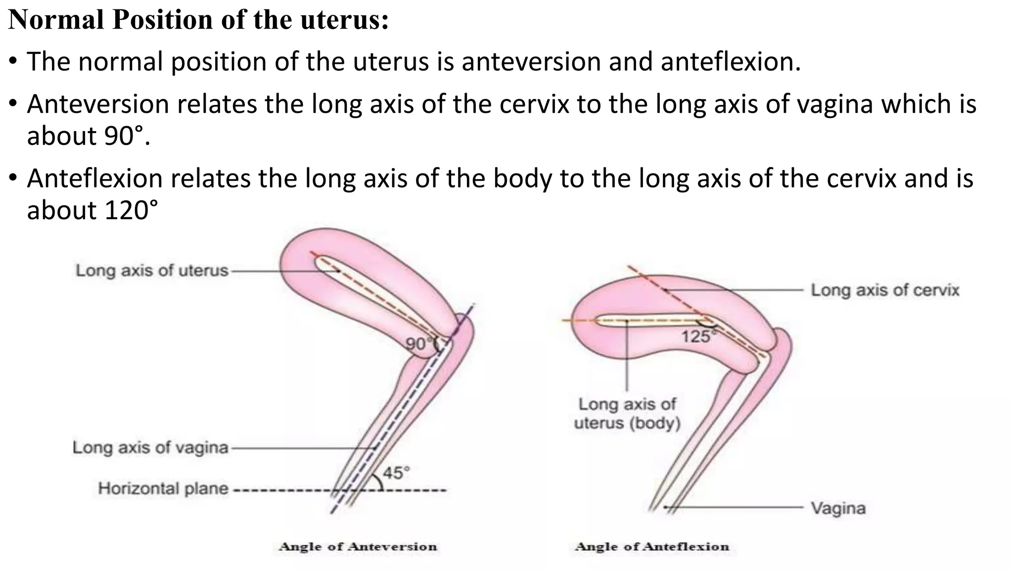 0_ANATOMY OF FEMALE REPRODUCTIVE SYSTEM.pptx