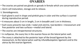 0_ANATOMY OF FEMALE REPRODUCTIVE SYSTEM.pptx