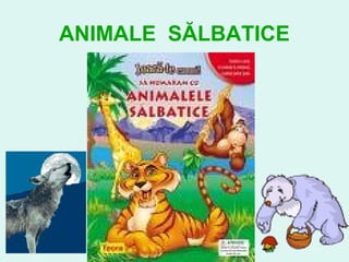 0 animale salbatice | PPT