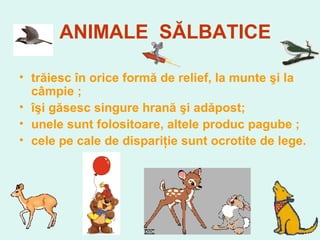 0 animale salbatice | PPT