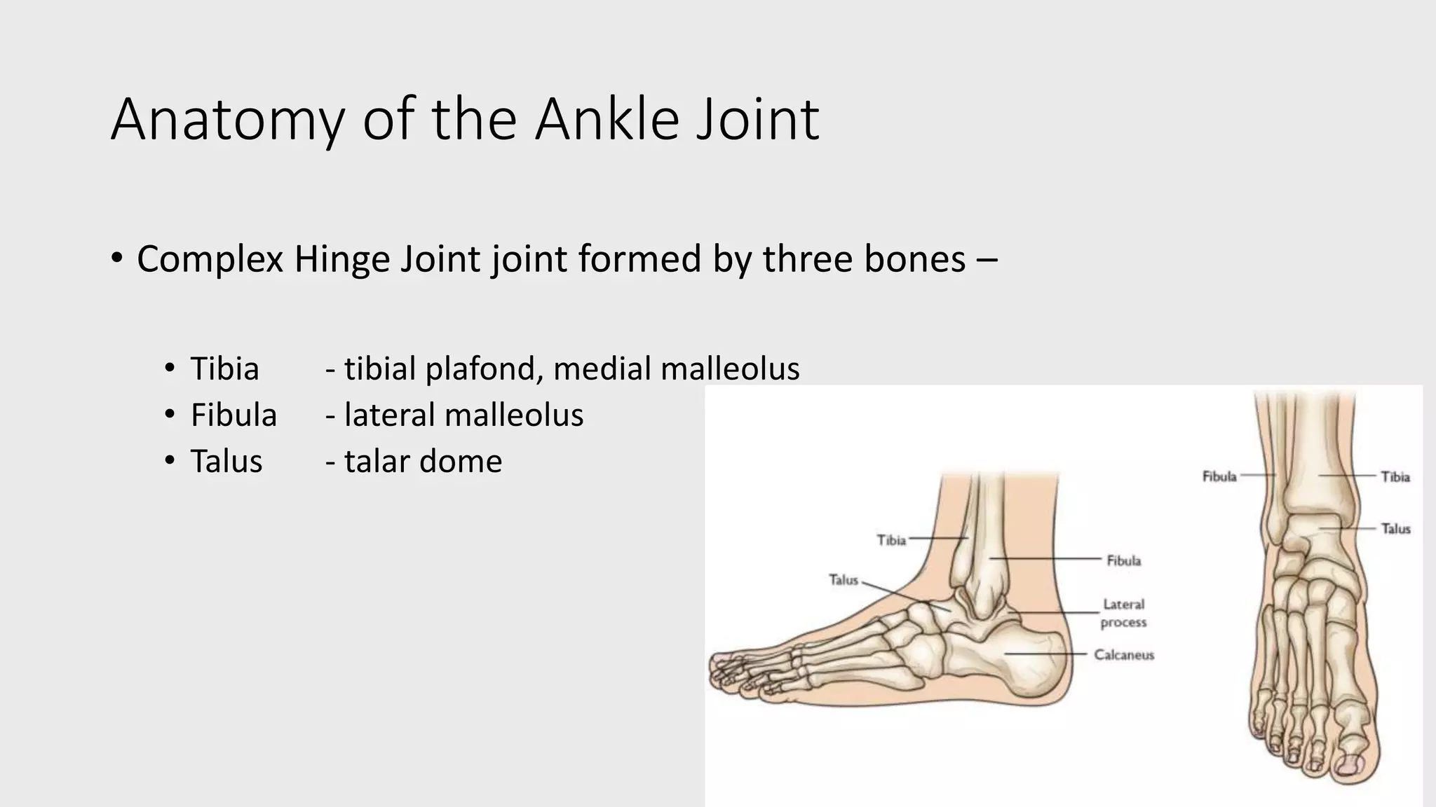 Ankle Fractures.pptx